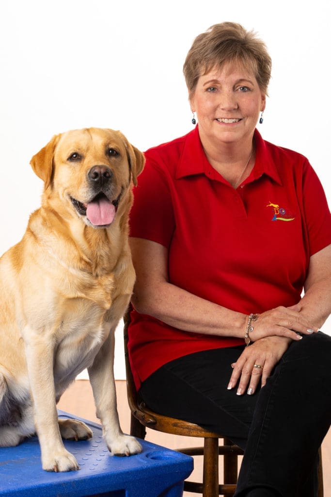 Dog Training Consulting | Pet Business Coach | The Dog Gurus