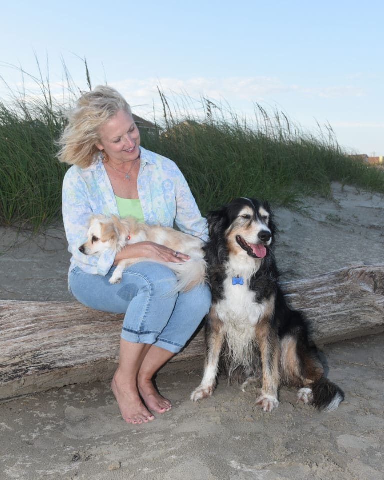 Dog Training Consulting | Pet Business Coach | The Dog Gurus