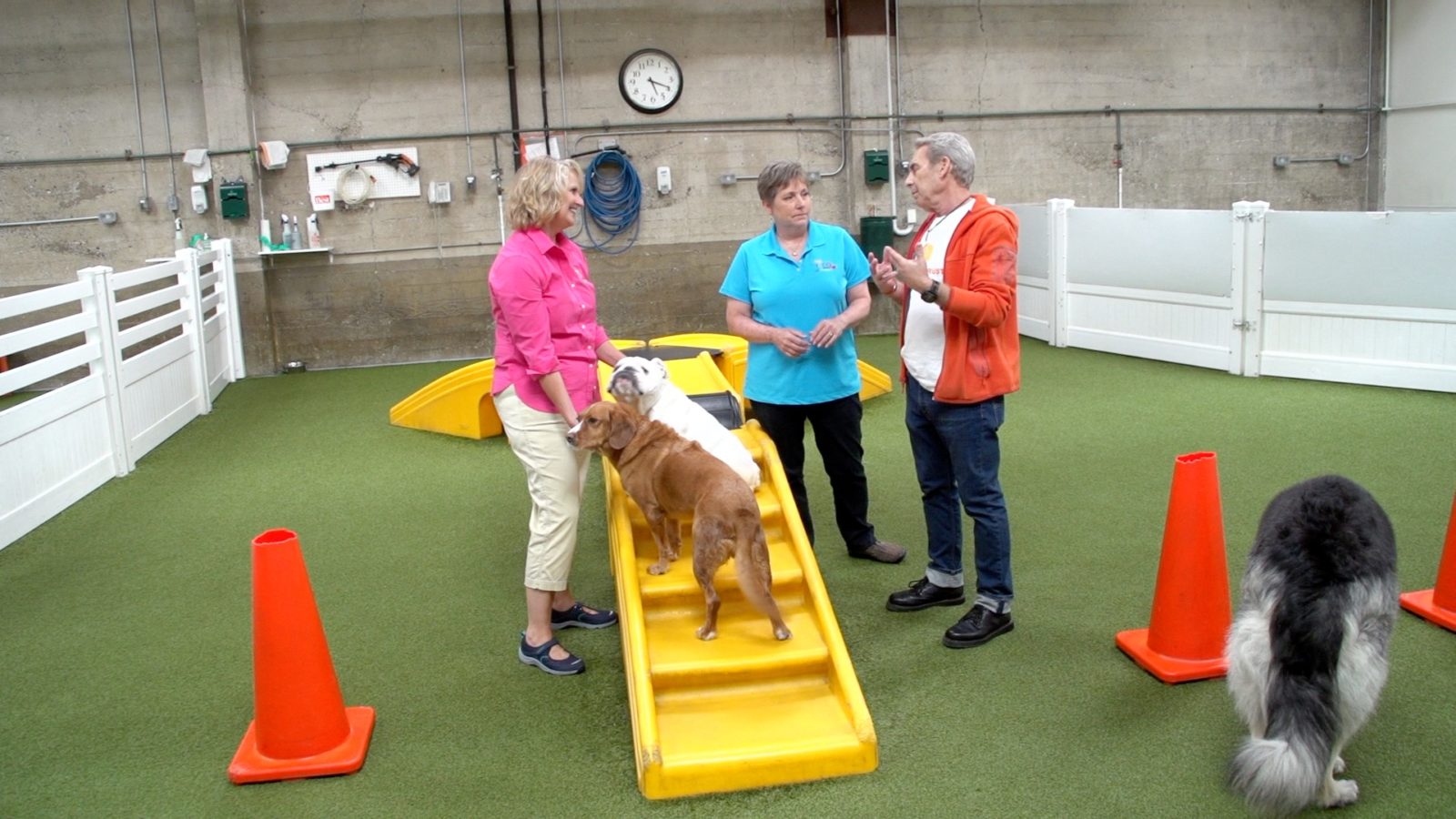 Pet Care Industry Standards | Start a Pet Care Business | The Dog Gurus