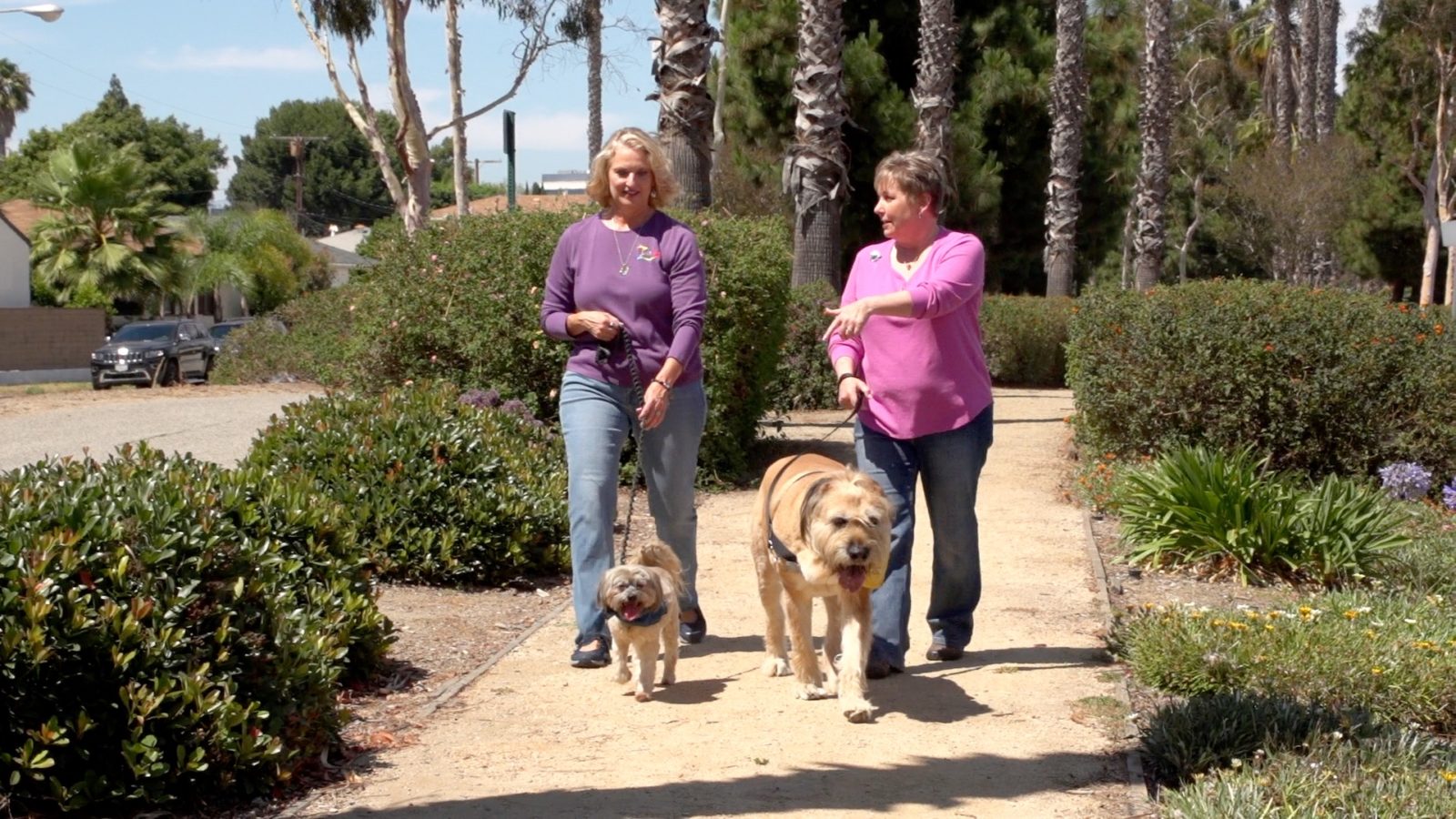 Pet Care Industry Standards | Start a Pet Care Business | The Dog Gurus